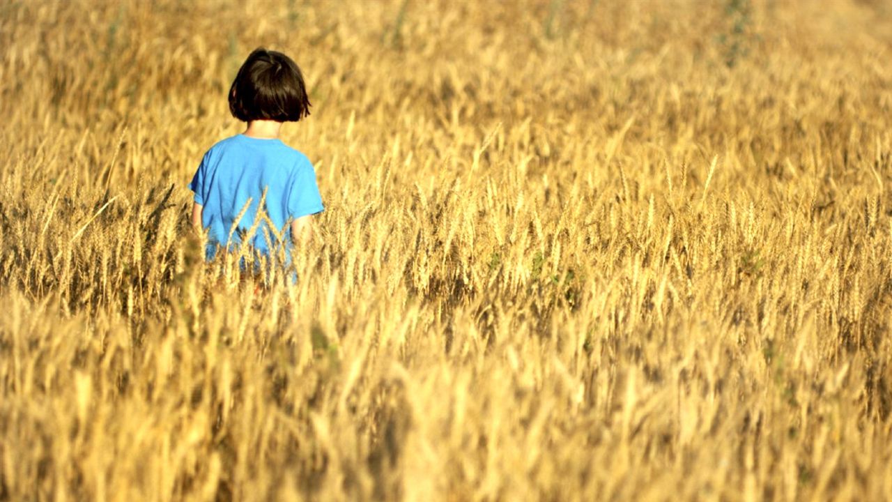 Parasha Behar (On the Mount): The Year of Faith | Messianic Bible