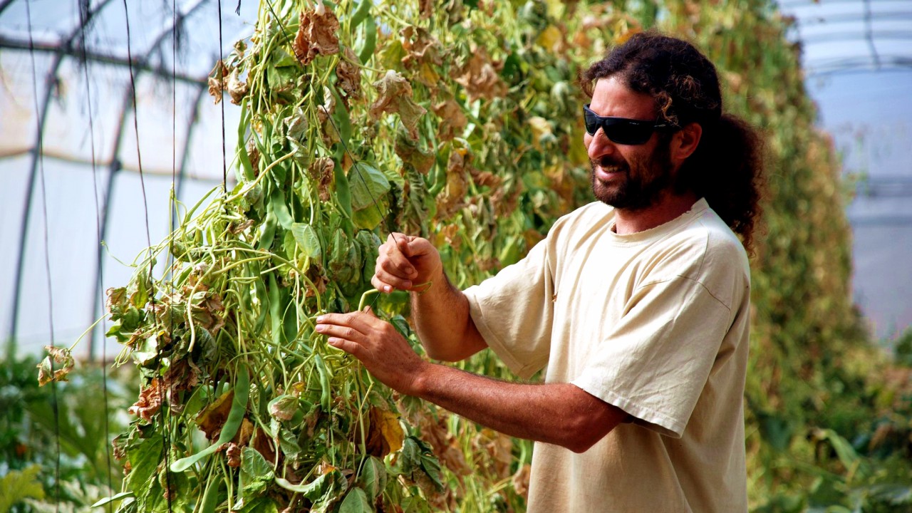 At Risk Israeli Farmers Get Bomb Shelters and 500 Helping Hands ...