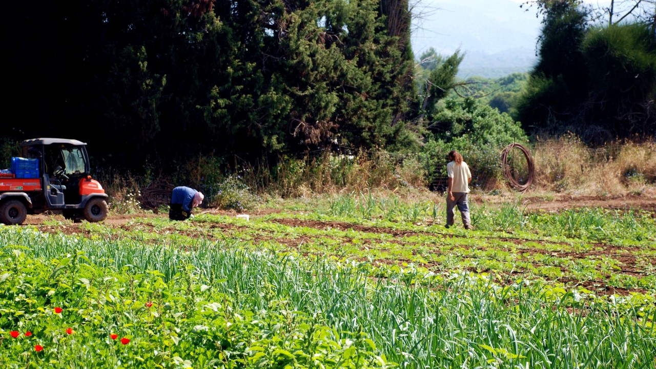 At Risk Israeli Farmers Get Bomb Shelters and 500 Helping Hands ...