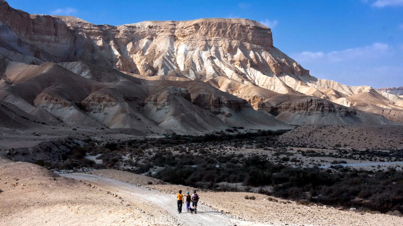Negev Soon to Bloom with 5 New Cities While Aliyah Hits 10-Year High ...