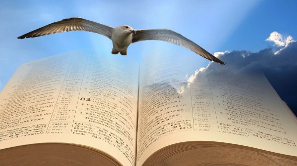 God Wants to Set You Free! Find Out How | Messianic Bible