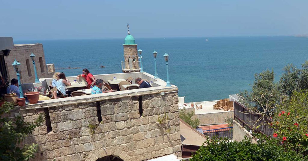 Renewing the Mind of Peter and the Apostles | Messianic Bible