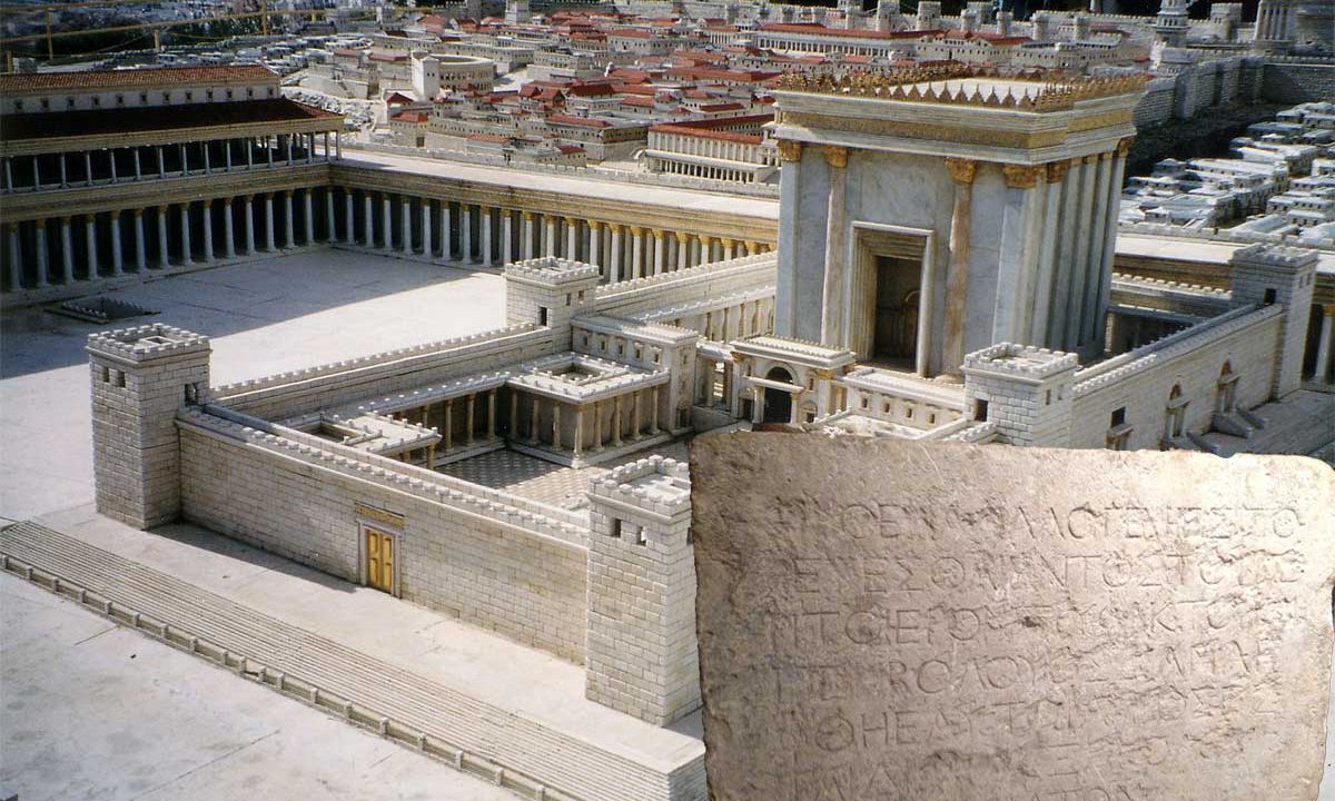 Renewing the Mind of Peter and the Apostles | Messianic Bible