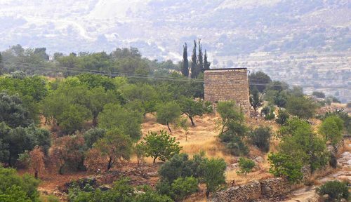Are You a Watchman on the Wall? | Messianic Bible